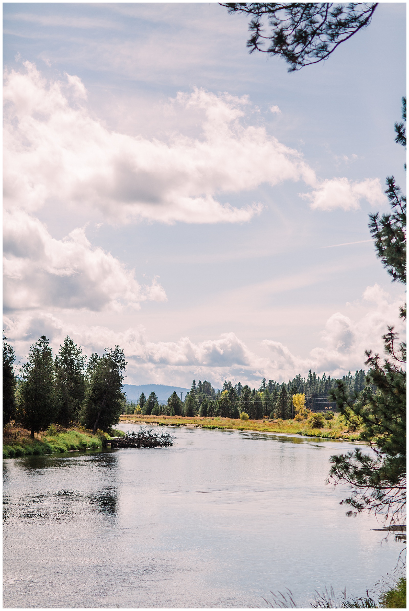 Trisha + David // Riverside Pines // Cascade, Idaho - Cimbalik Photography